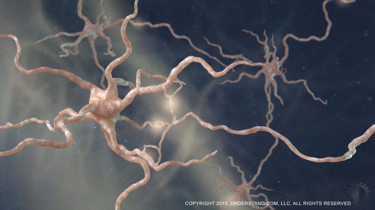 The Cunningham Panel™ Animation Released by Understand.com® to Educate