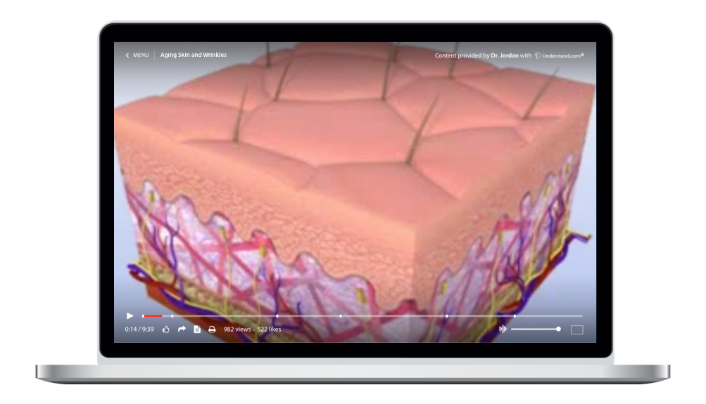 Aging Skin and Wrinkles Animation – Understand.com