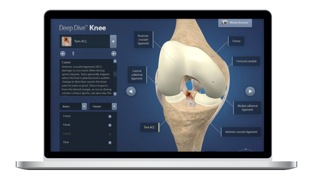 Knee Deep Dive – Understand.com