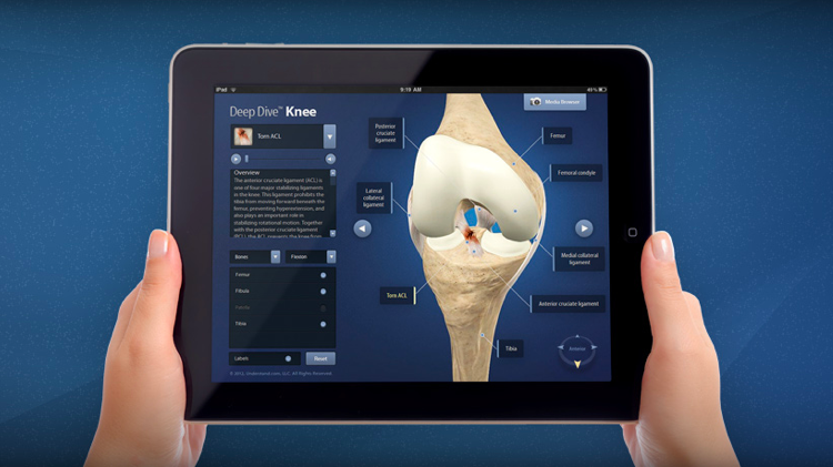 Knee Deep Dive – Understand.com